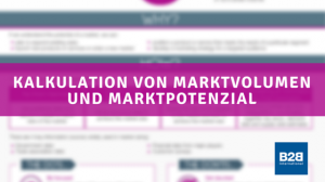 Infografik zur Definition der Marktgröße